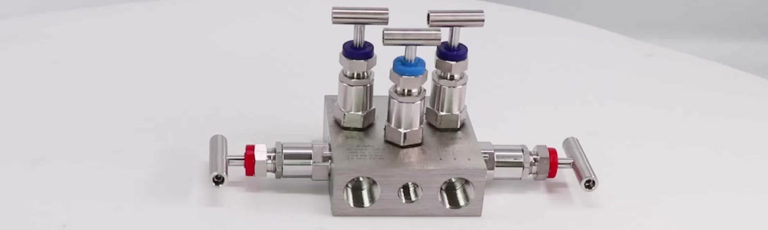 Stainless Steel 304L Manifold Valves, SS 304L 2 way, 3 way and 5 way ...
